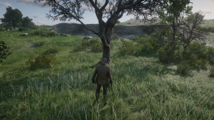 Red Dead Redemption 2 Where to Find All Collectibles - GameMappers